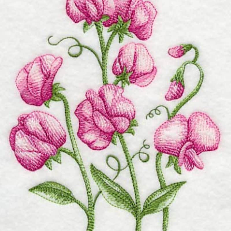 Sweet Pea Embroidery - Etsy