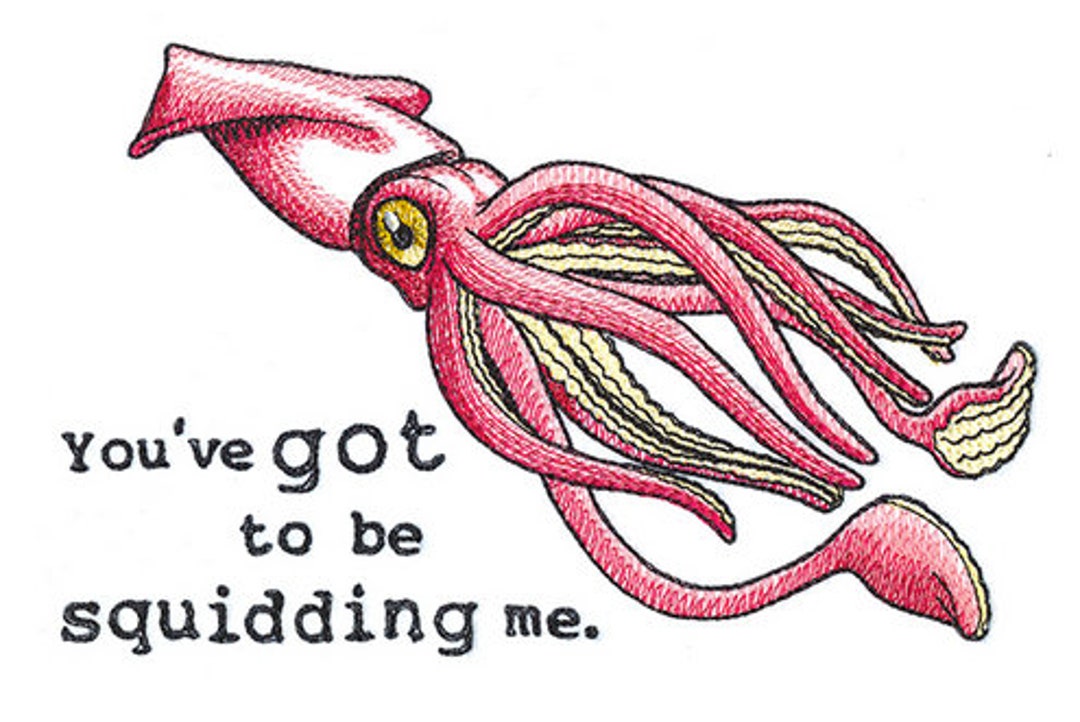 You've Got to Be Squidding Me Squid Pun Embroidered Waffle Weave Hand ...