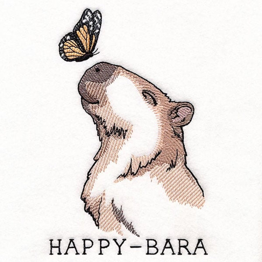 Capybara Happy-bara Embroidered Waffle Weave Hand/dish Towel - Etsy