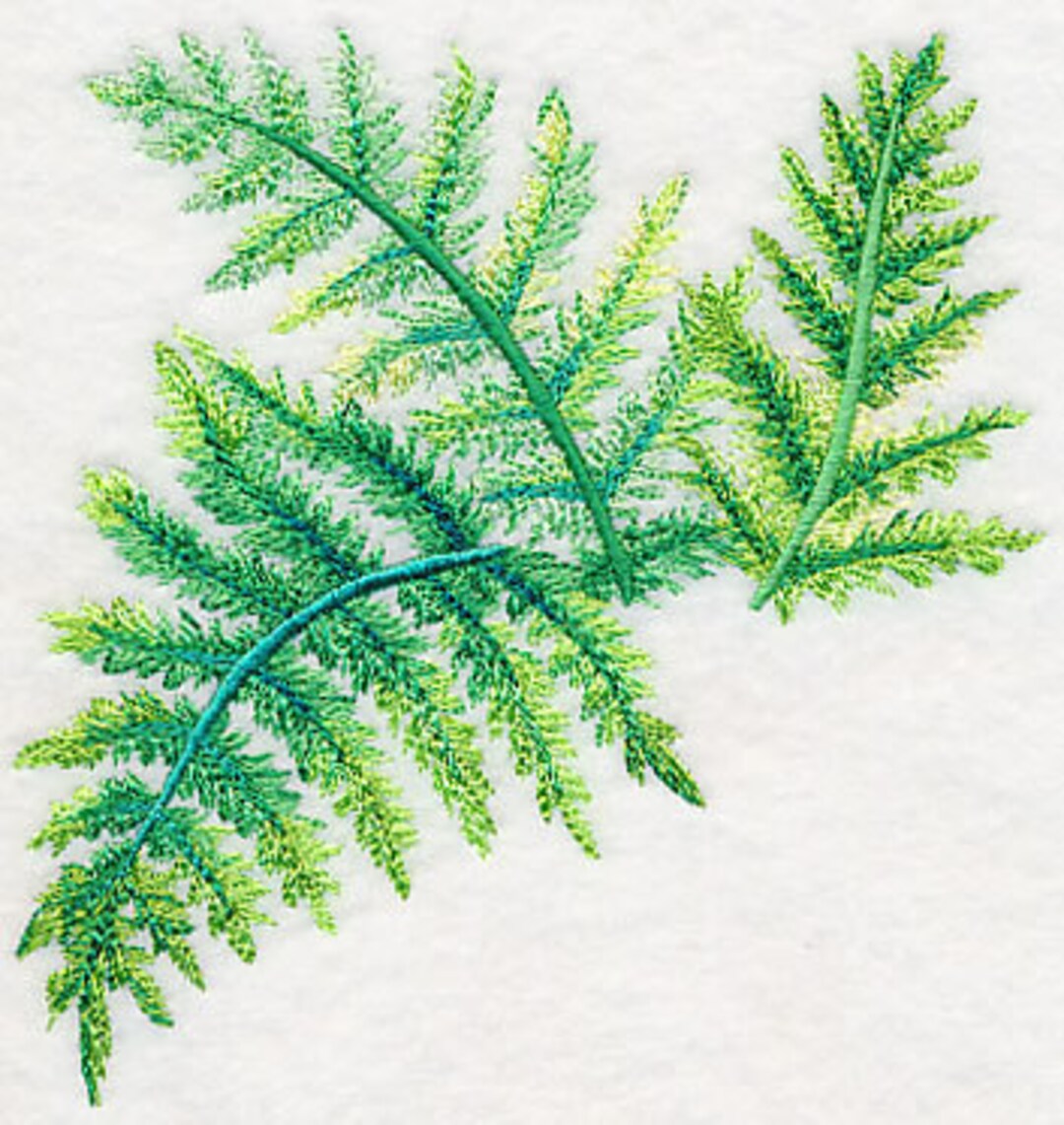 Ferns Embroidered Waffle Weave Hand/dish Towel - Etsy