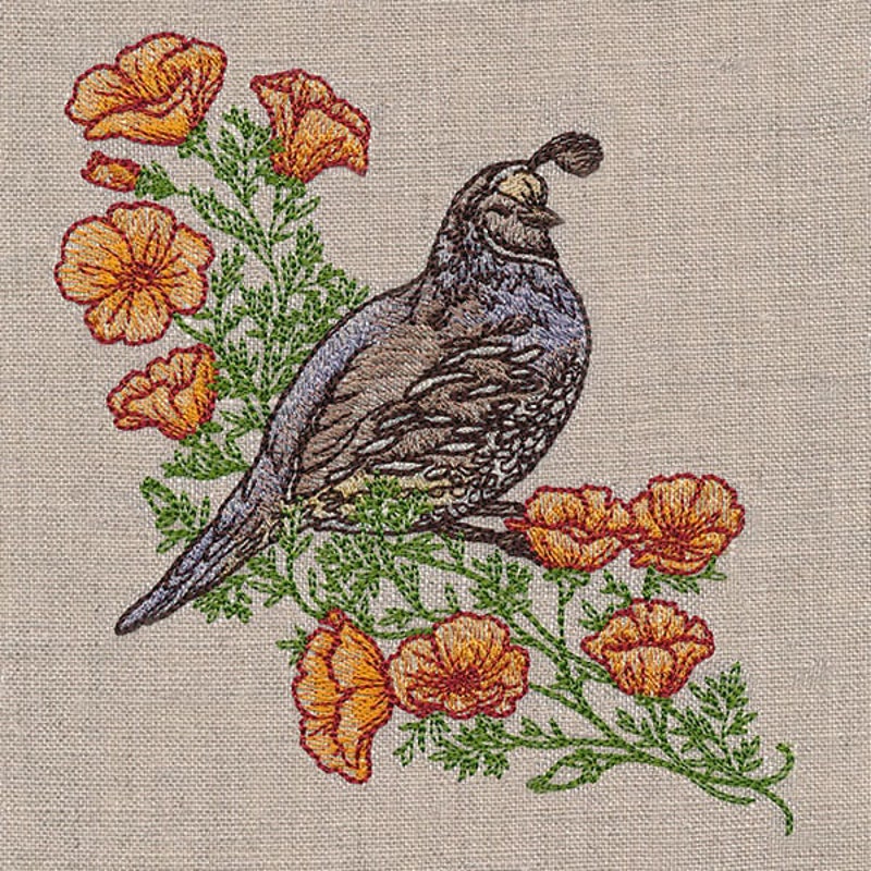 Quail Embroidery - Etsy