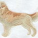Golden Retriever Stance Embroidered Waffle Weave Hand/dish Towel - Etsy