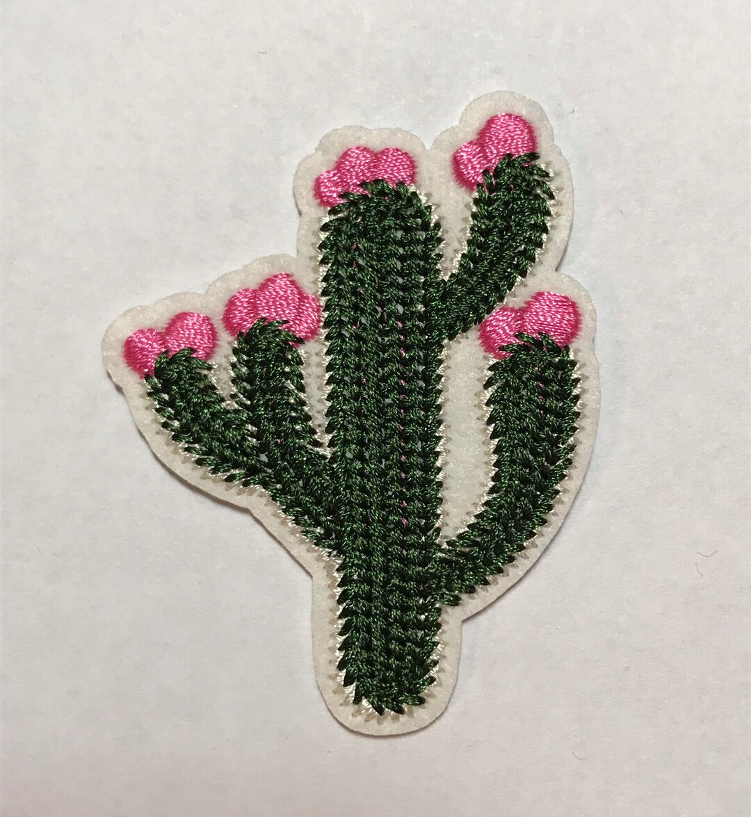 Cactus Iron on Patch VSCO for Clothing Backpacks Succulent - Etsy