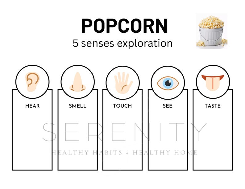 5 Senses - Popcorn Activity | Printable Science Worksheet for Preschool ...