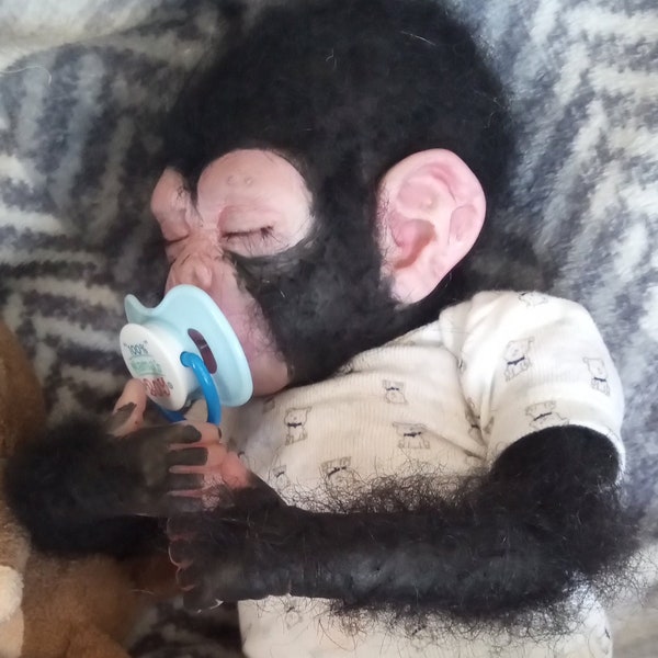Mini Monkey Capuchin. Silicone - Etsy Canada