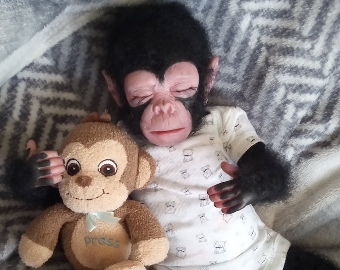 Reborn Monkey Chimpanzee Artist Doll Baby Ape Hybrid Chimp - Etsy