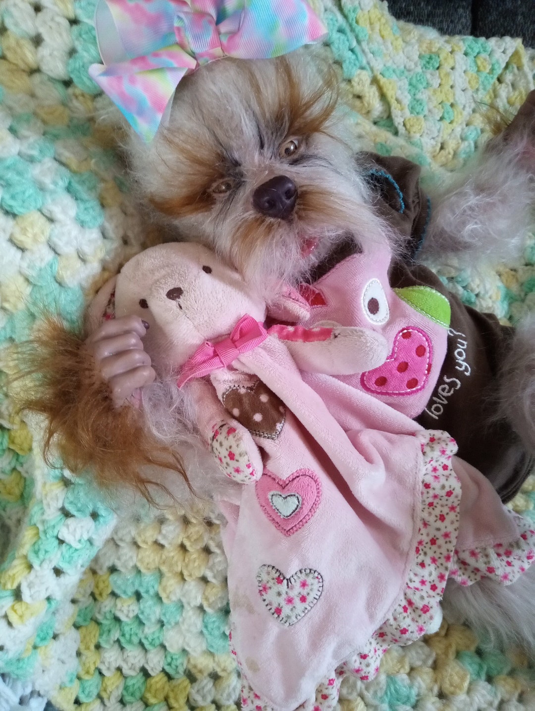 Reborn Werewolf Baby Doll Pup Wolf Hybrid - Etsy