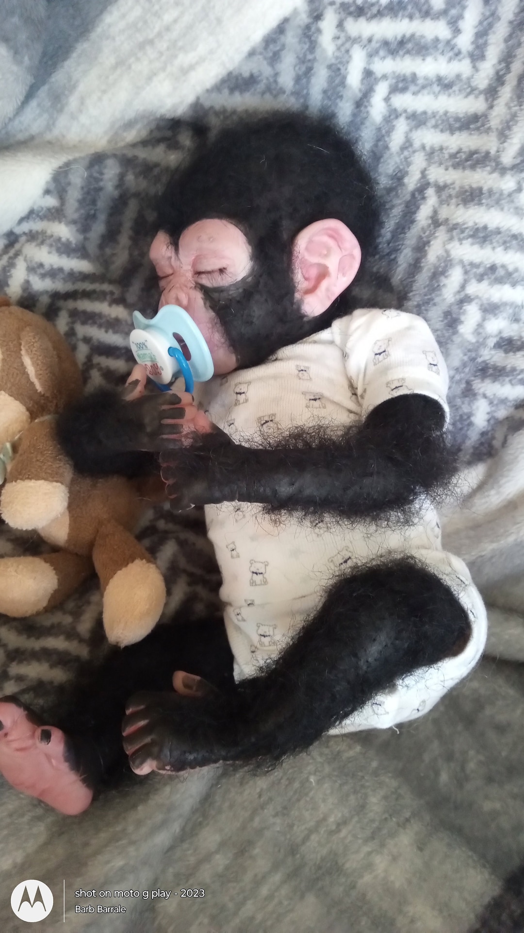 Reborn Monkey Chimpanzee Artist Doll Baby Ape Hybrid Chimp - Etsy