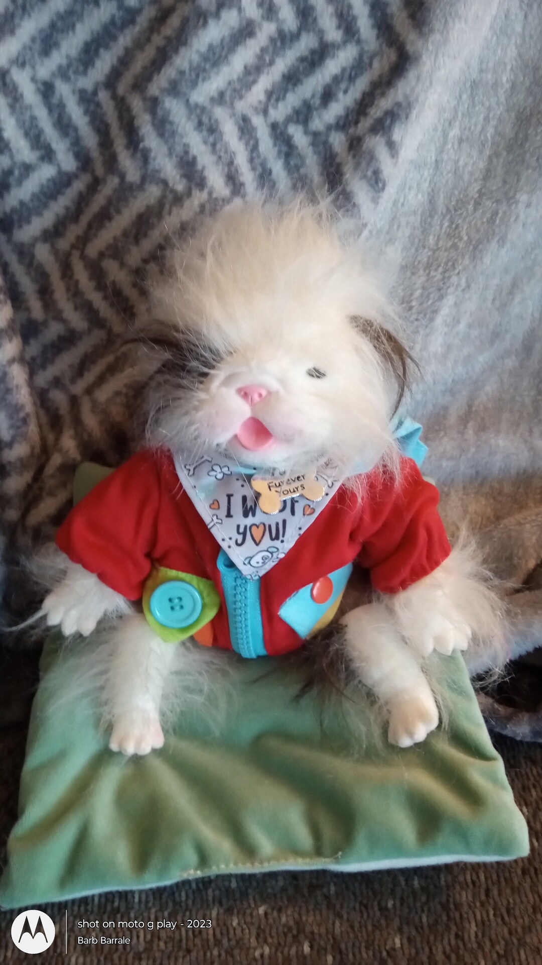 Reborn Puppy Dog Hybrid Artist Mini Baby Bull Dog Boy - Etsy