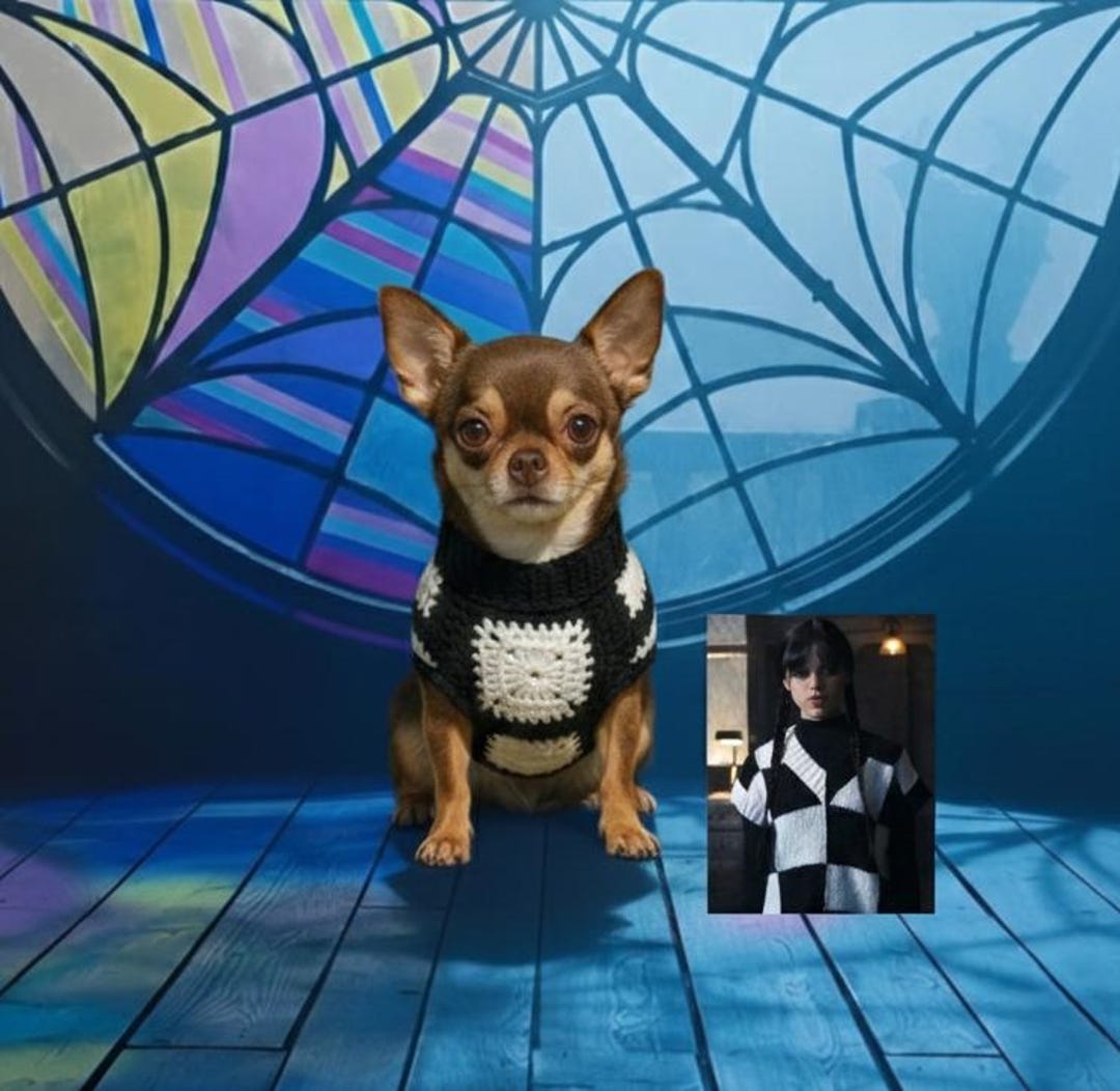 Wednesday Addams Dog Sweater - Gothic Black and White Checkered Pattern ...