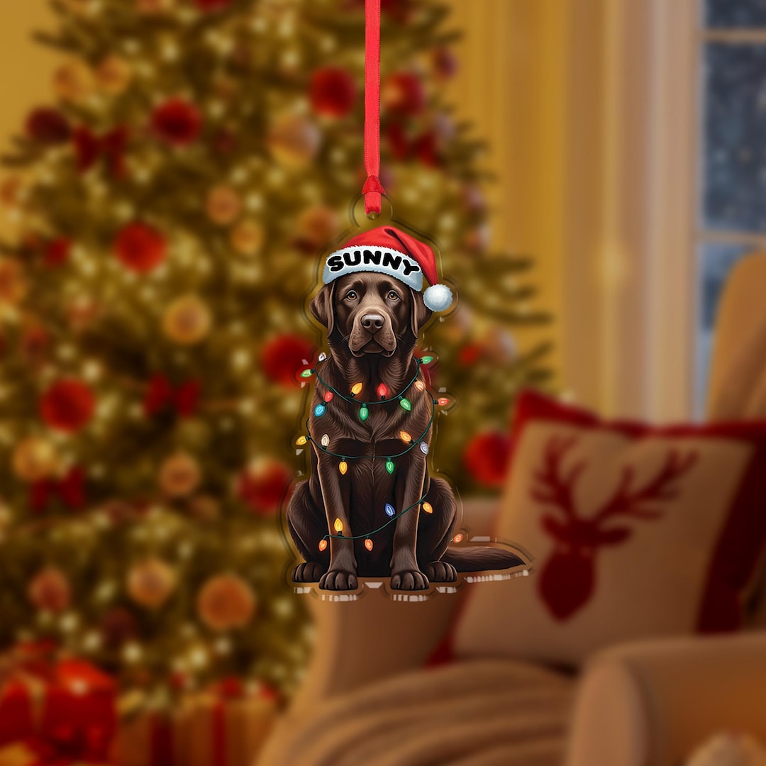 Personalized Chocolate Lab Ornament: Christmas Tree Decor Personalized ...