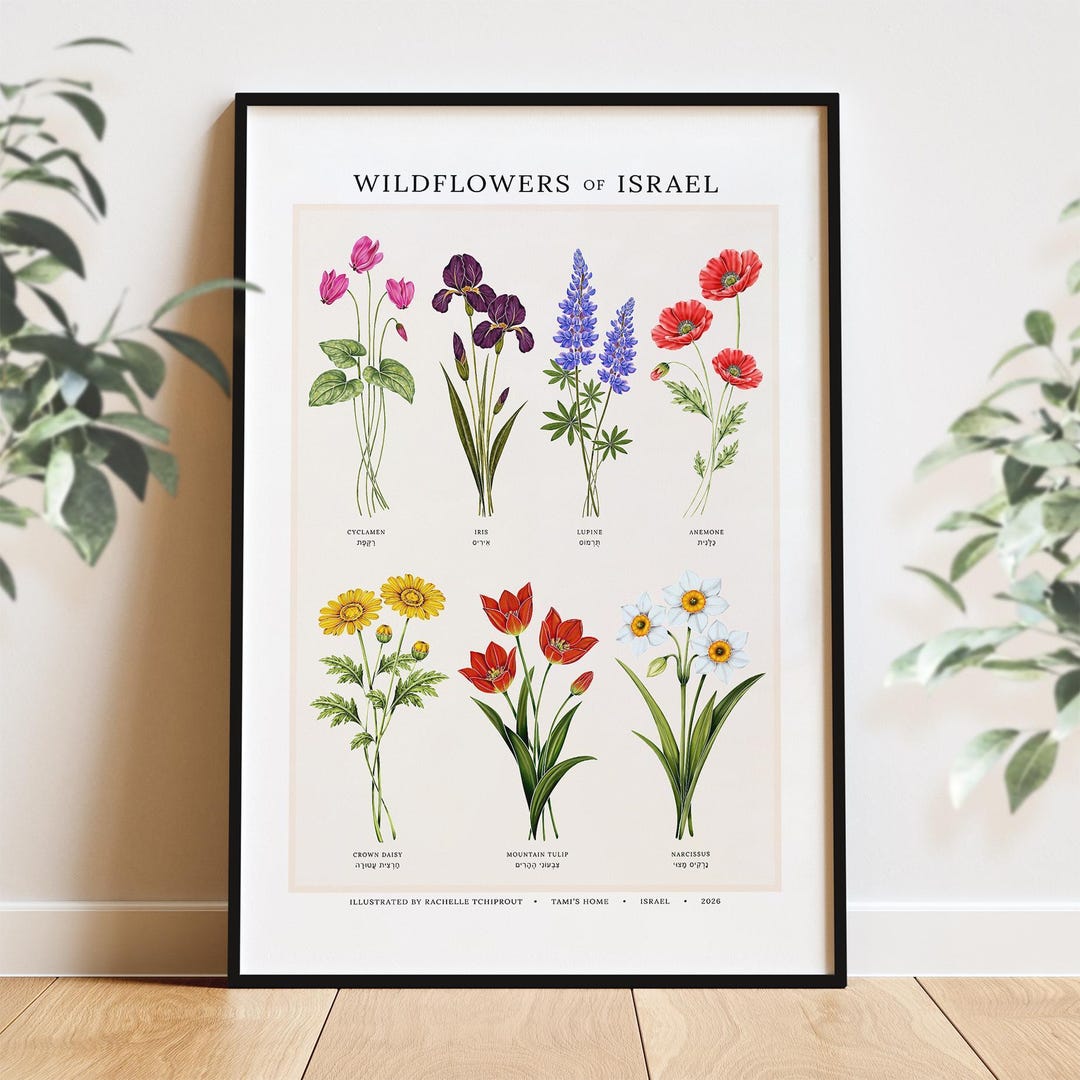 Wildflowers of Israel · Botanical Art Print · Sandy Neutral Edition ...