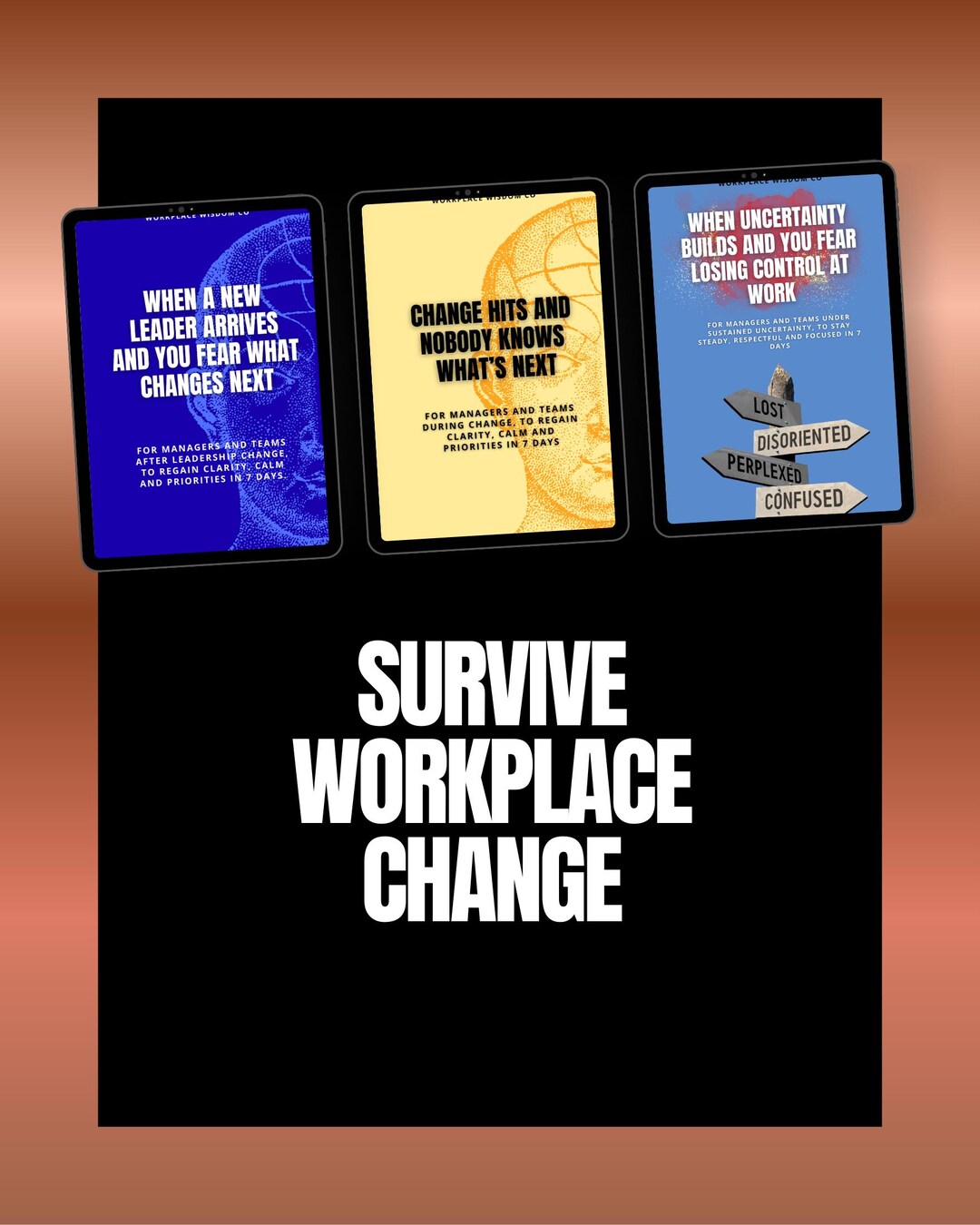 Workplace Change Survival Kit | Practical Toolkit to Stay Calm, Focused ...