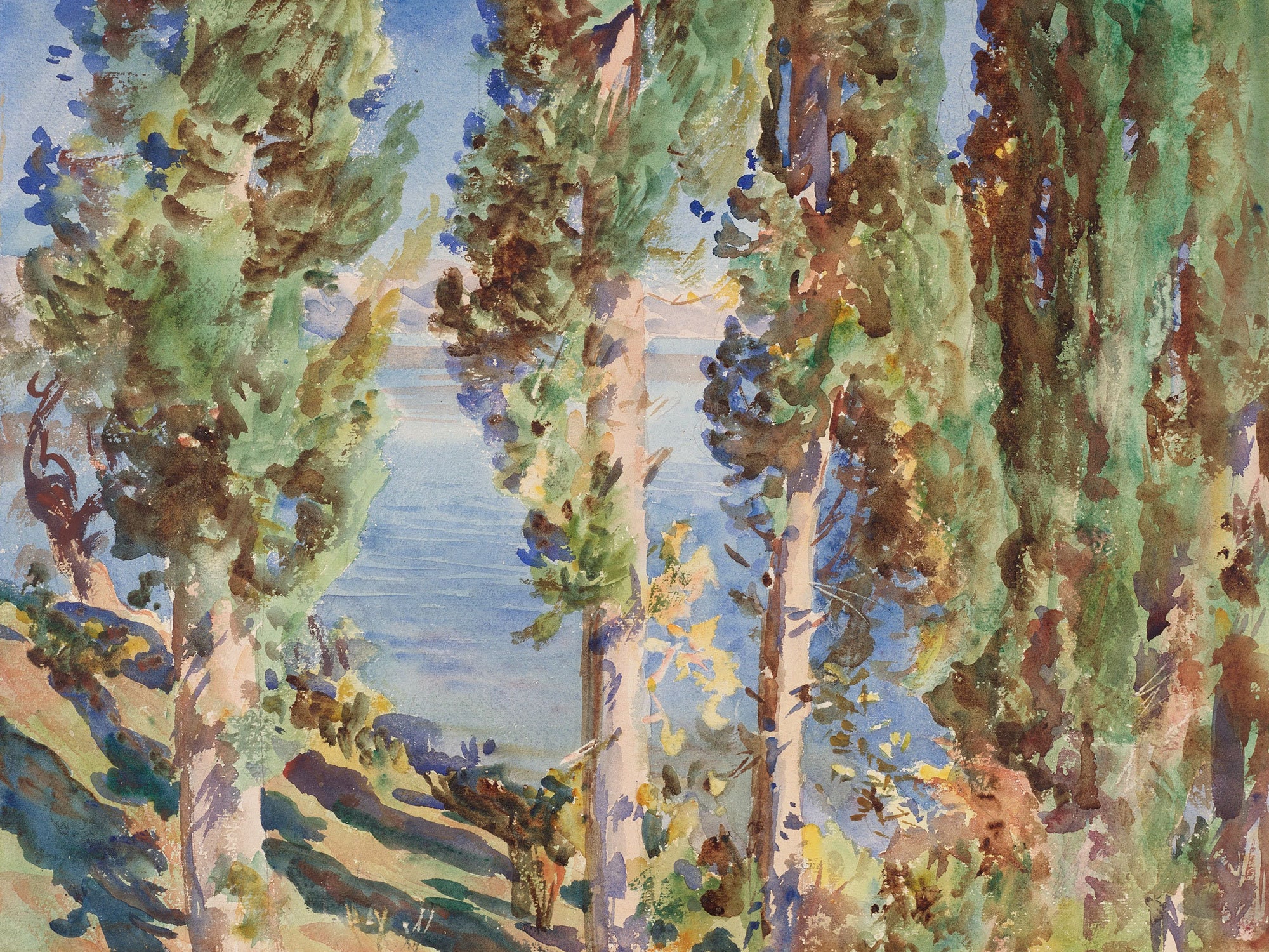 Cypress Trees Watercolor Vintage Artwork Digital Download | Etsy