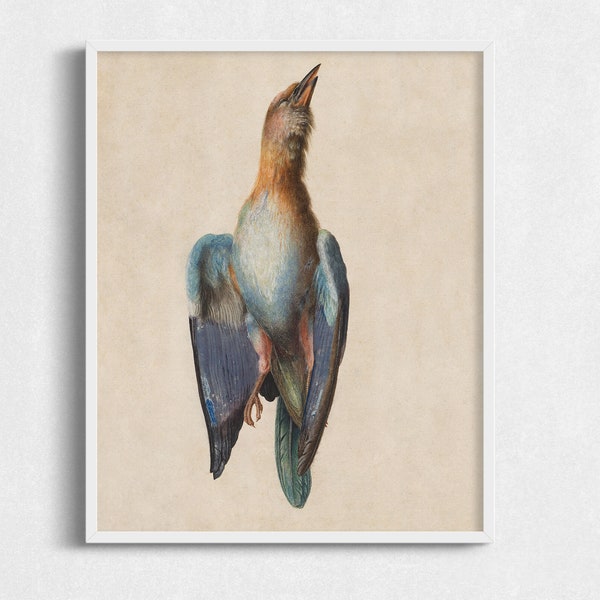 Bird Study - Etsy