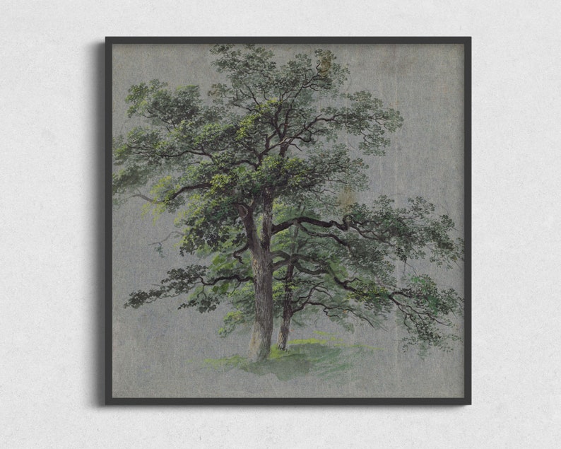 Printable Square Tree Sketch Tree Drawing Art Print Vintage - Etsy
