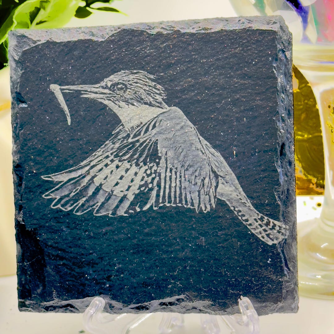 Kingfisher With Fish Slate Coaster | Wildlife Bird Art | Laser Engraved ...
