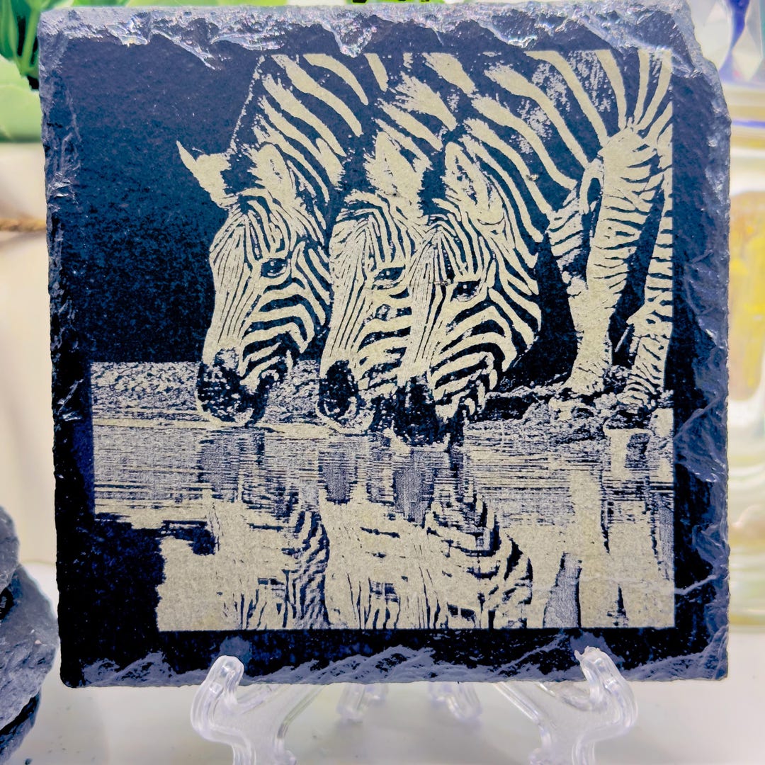 Zebra Slate Coaster | African Wildlife Art | Engraved Zebra Coaster ...