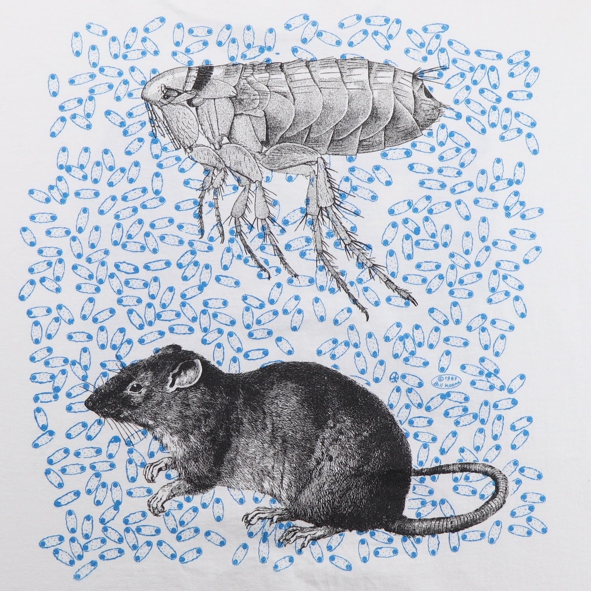 The Black Death Rats And Fleas