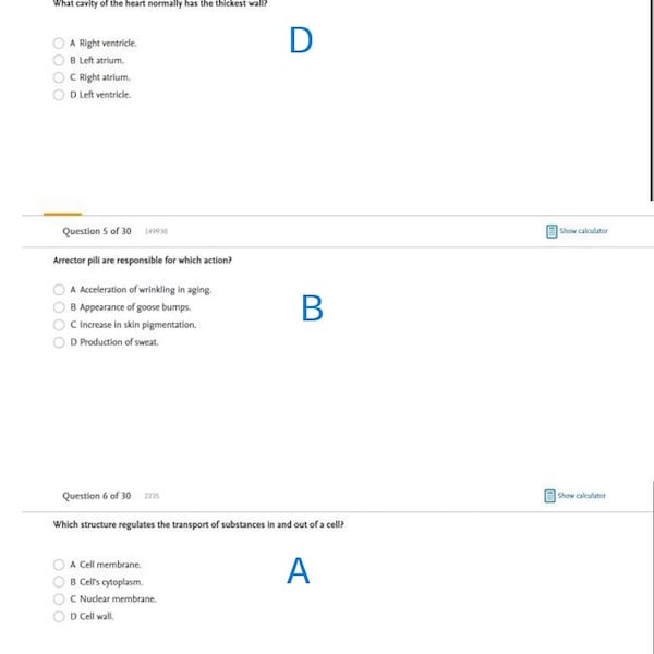 Hesi a 2 Math - Etsy