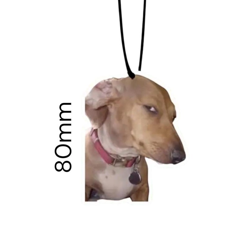Funny Airfreshener Side Eye Dog | Joke Gift | Car Decoration | Car ...