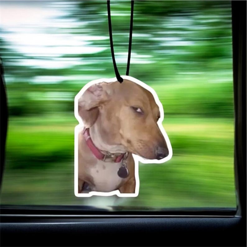 Funny Airfreshener Side Eye Dog | Joke Gift | Car Decoration | Car ...
