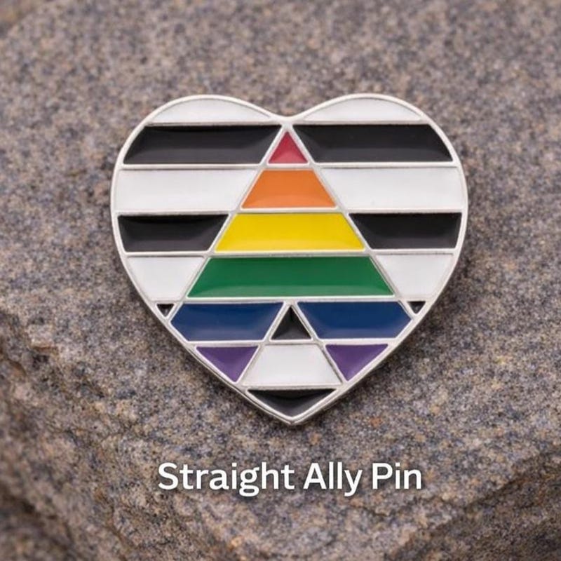 Rainbow Flag Pin - Etsy