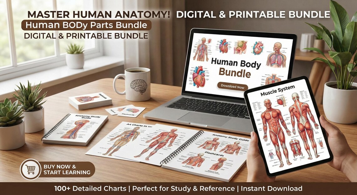 100+ Human Body Parts Bundle | A4 Labeled Anatomy Components | Colored ...