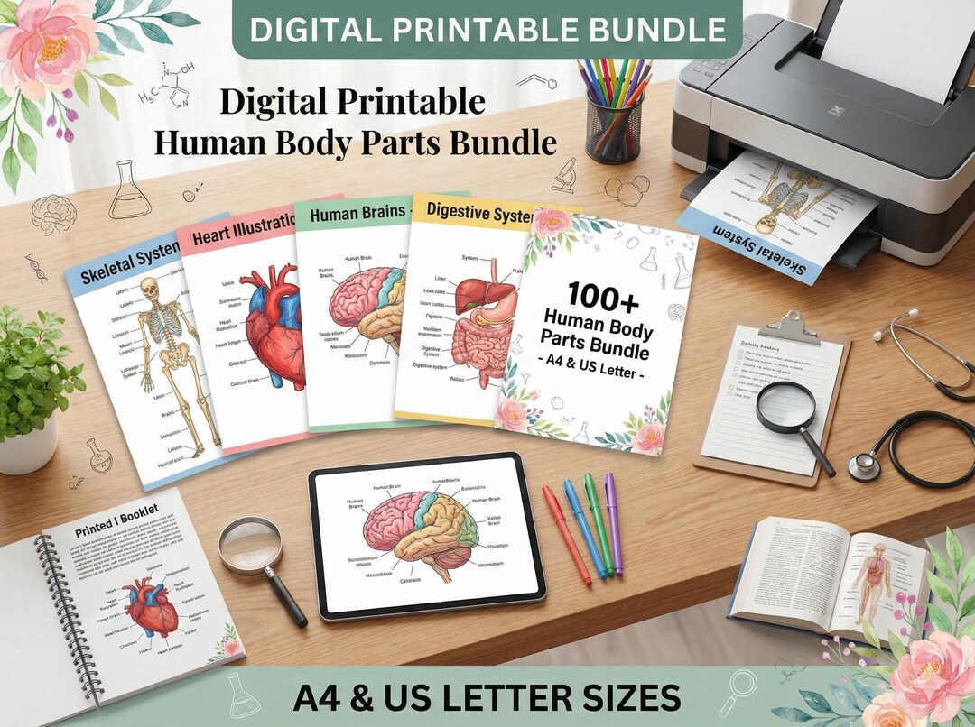 100+ Human Body Parts Bundle | A4 Labeled Anatomy Components | Colored ...