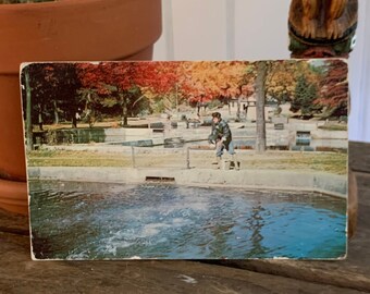 Fly Fishing Postcard - Etsy