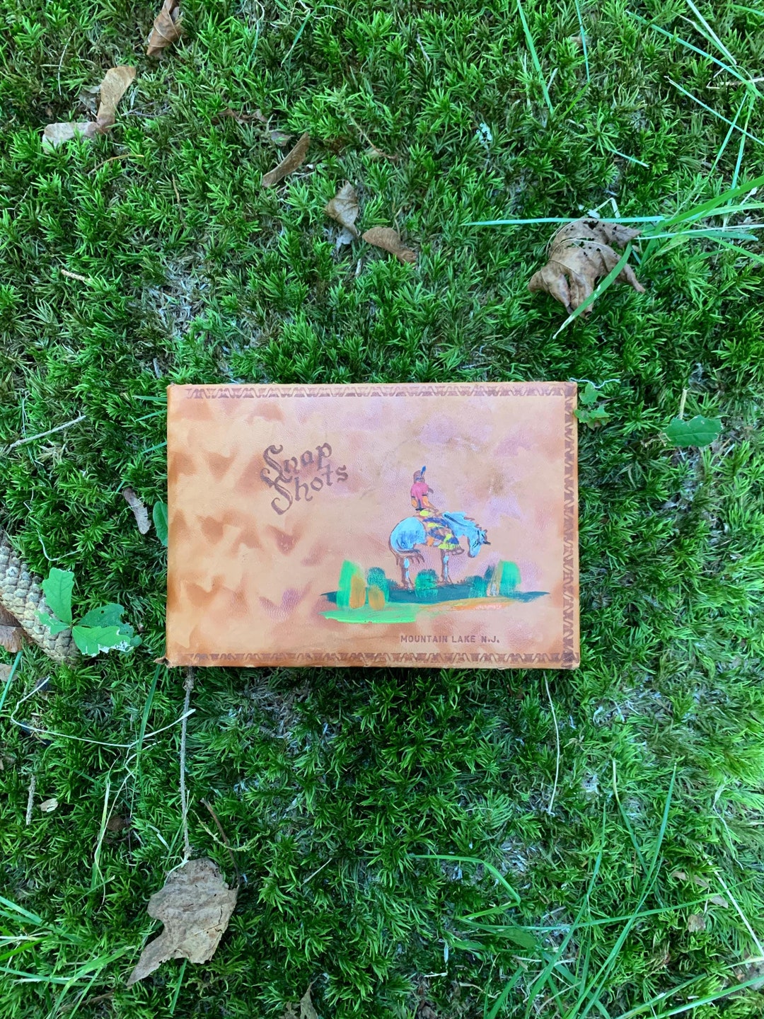 Vintage Leather Photo Album With Hand Painted Native American Cover ...