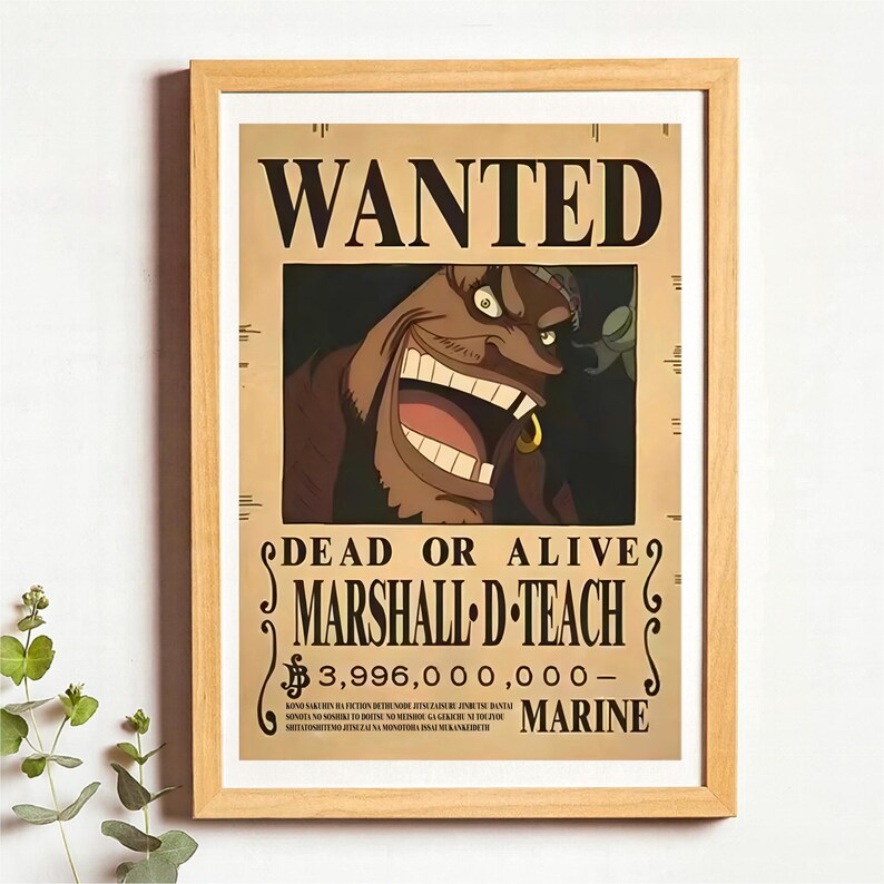 20+ Wanted Poster One Piece PREMIUM 300dpi JPG BUNDLE | High Quality ...
