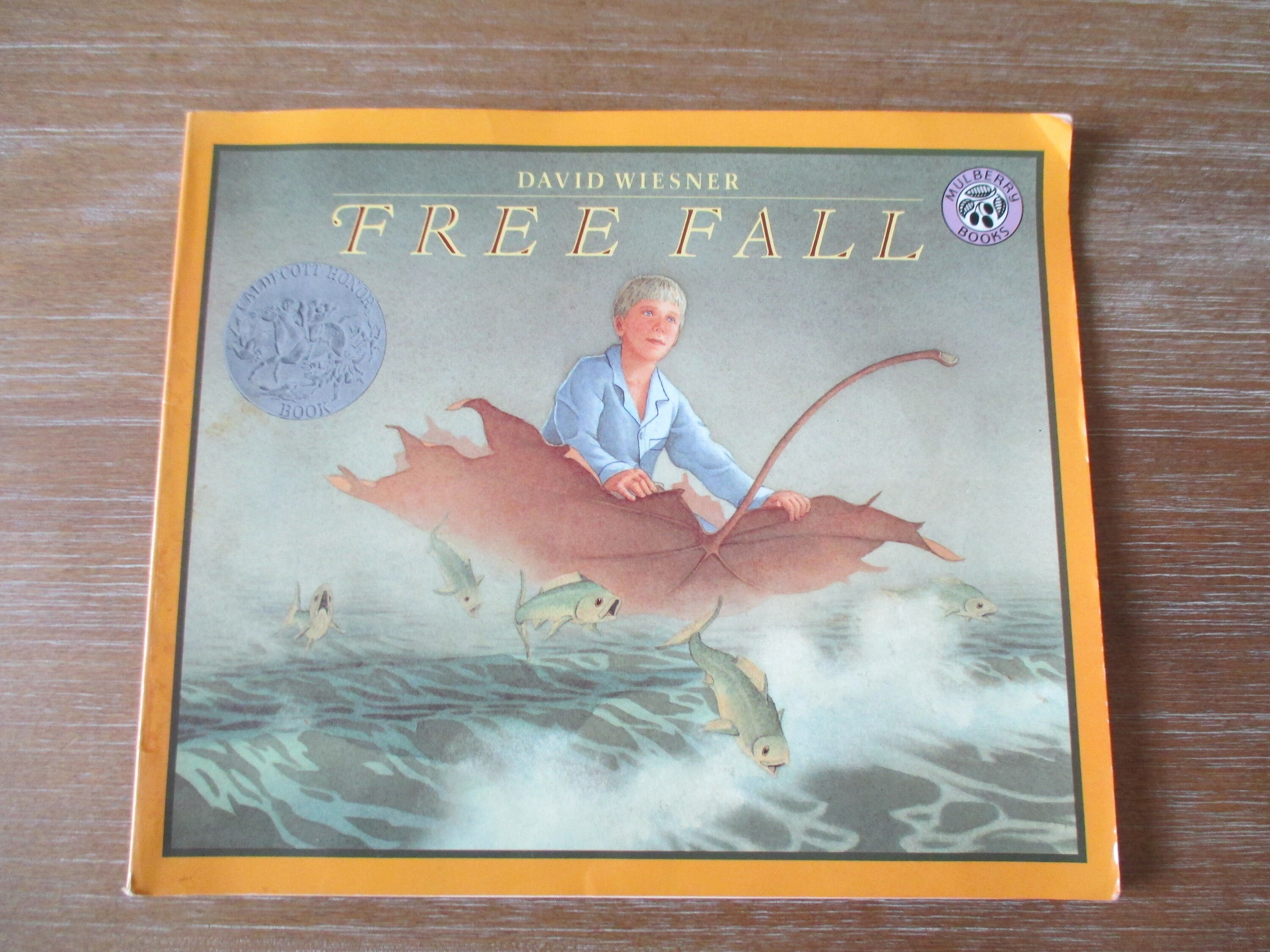 Free Fall by David Weisner 1991 SC Book | Etsy