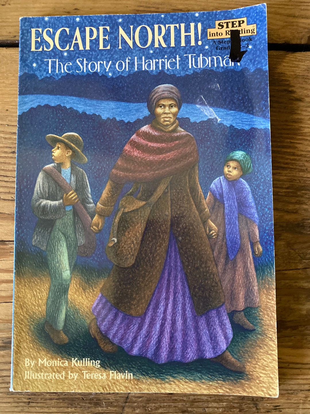 Escape North! Harriet Tubman Book - Etsy