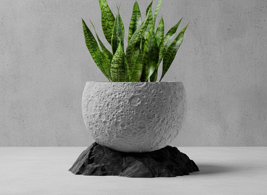 Moon Planter – Modern Lunar Plant Pot With Stand | 3D Printed Indoor ...