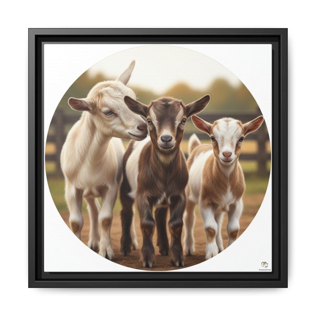 Three Baby Goats Matte Canvas Framed Wall Art | Farm Animal Nursery ...