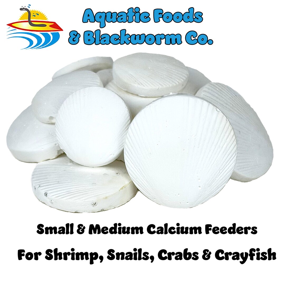 Calcium Feeding Shells, Small & Medium Shells for Shrimp, Snails, Crabs ...