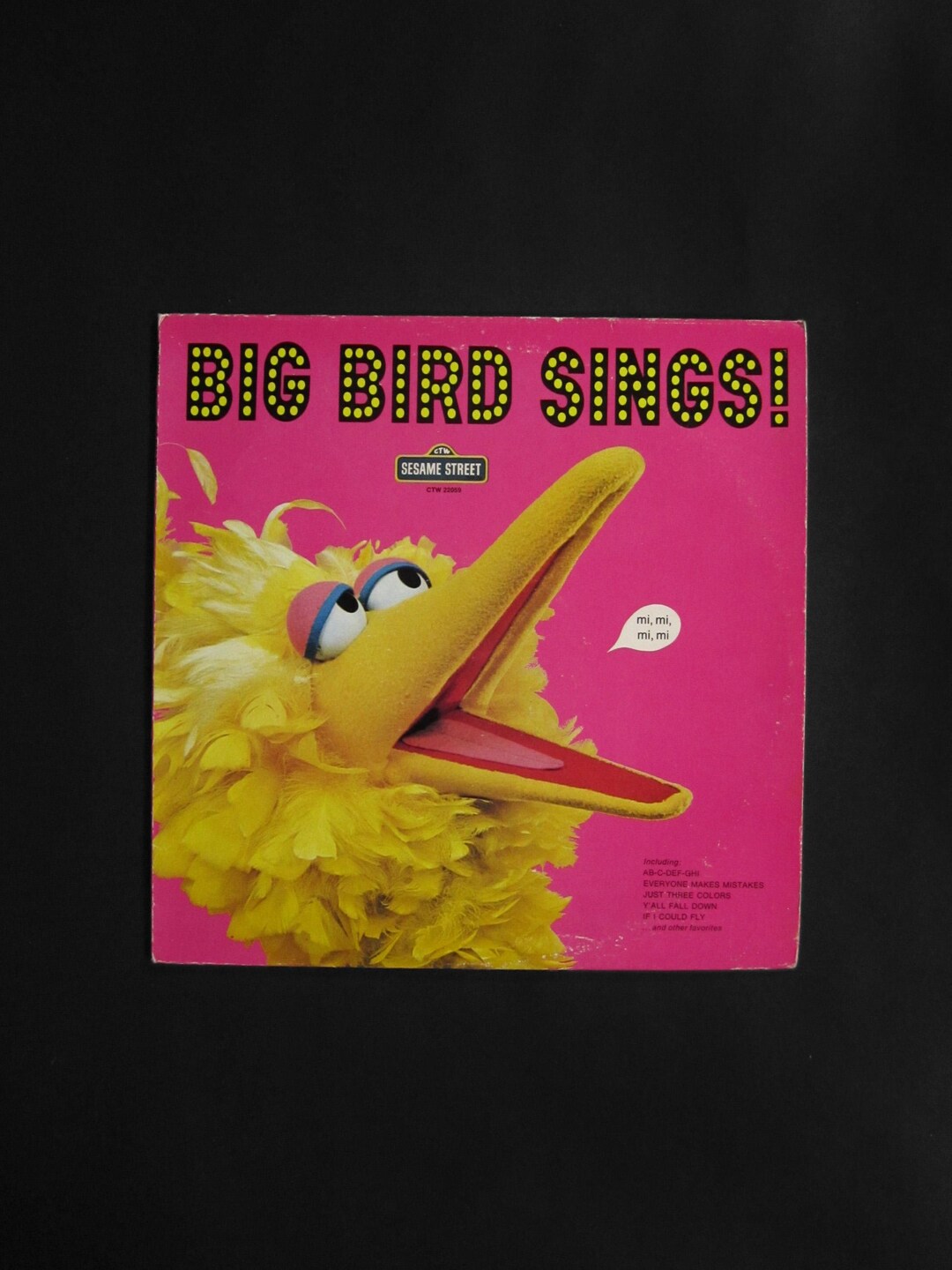 Big Bird Sings! Sesame Street Record 1974 Vinyl Album LP - Etsy