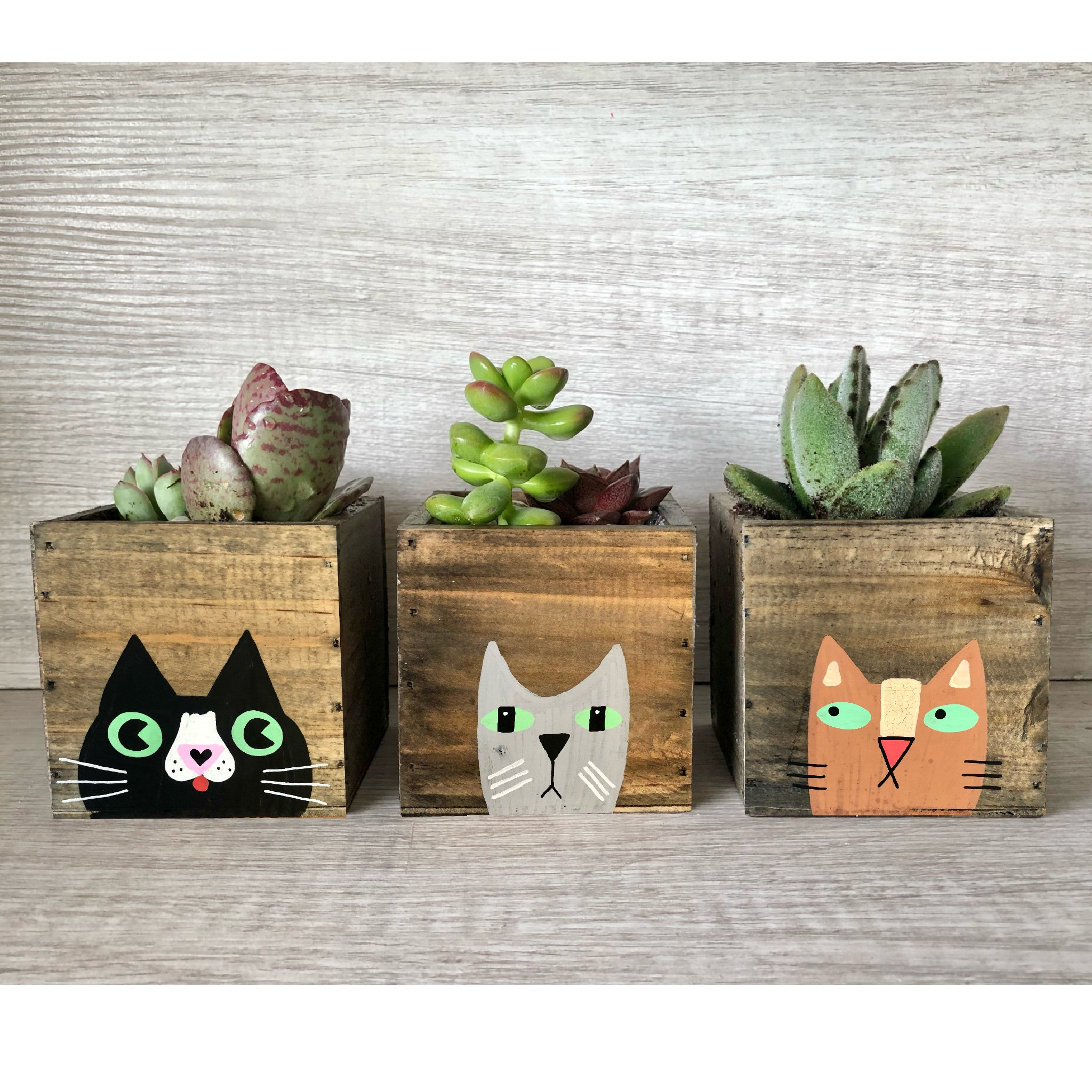 Set of 3 Small Wood Cat Planters, Succulent Garden Gift for Cat Lovers ...