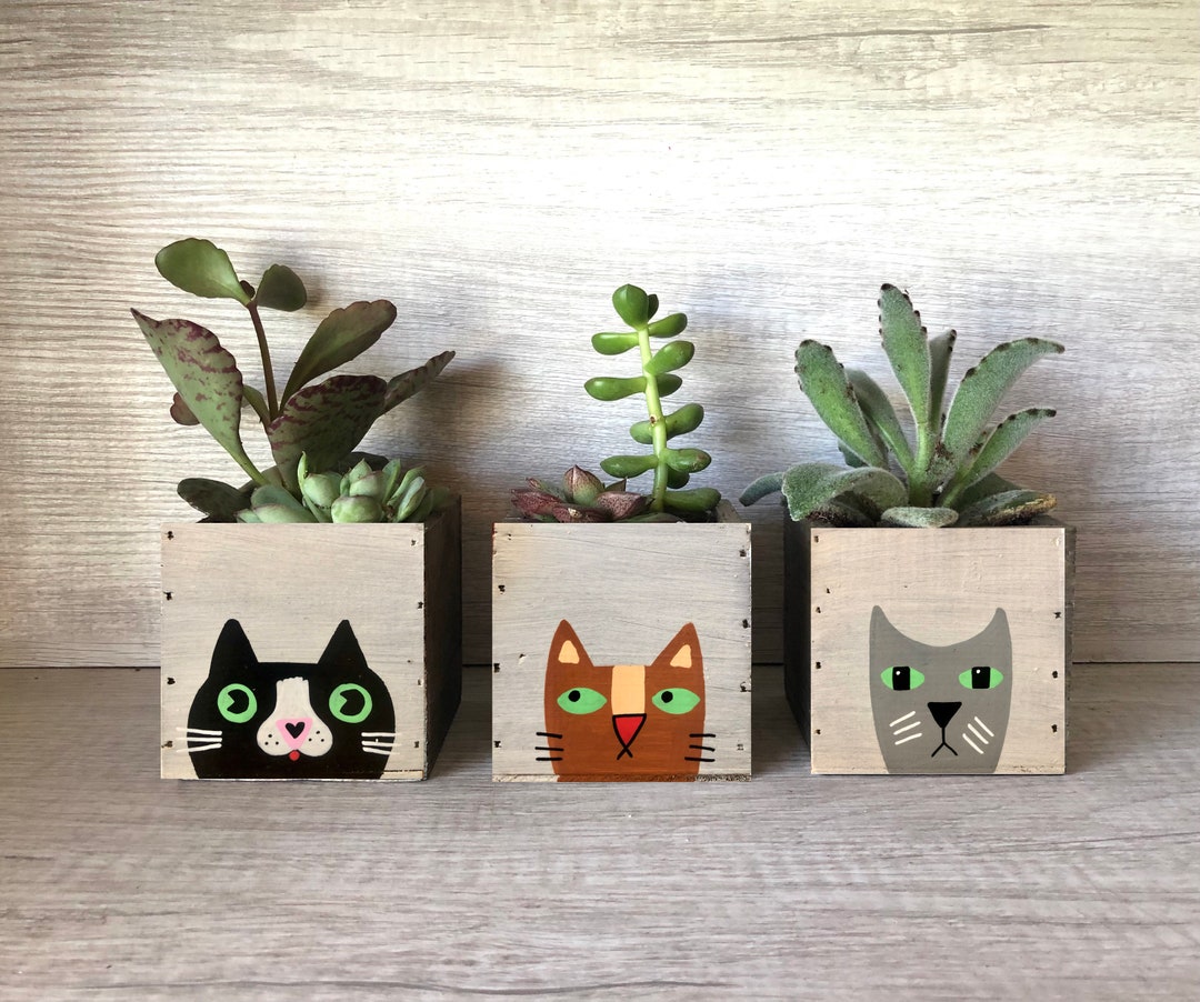 Mini Cat Planters, Set of 3 Small Handmade Wood Boxes, Garden Gift for ...