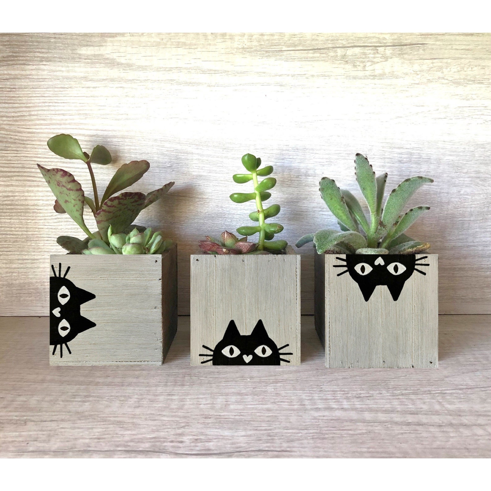 Small Cat Planters Set of 3 Wood Succulent Boxes Black Cat - Etsy