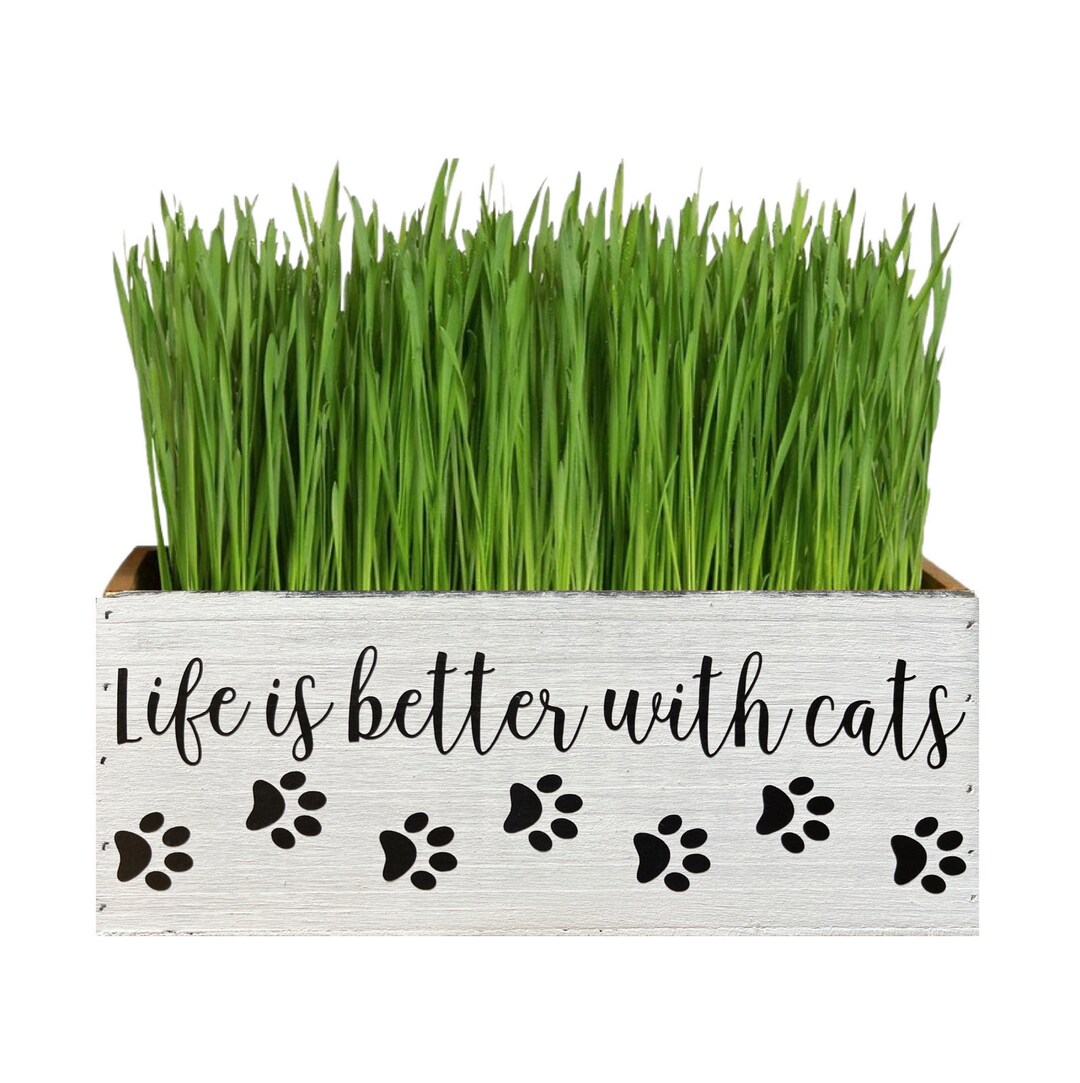 Cat Planter Box: Whitewashed Wood, Cat Lover Gift - Etsy