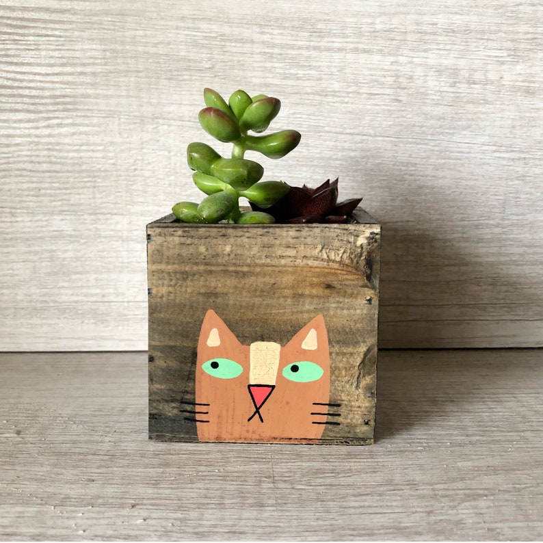 Mini Cat Planters Set of 3 Small Handmade Wood Boxes Garden - Etsy
