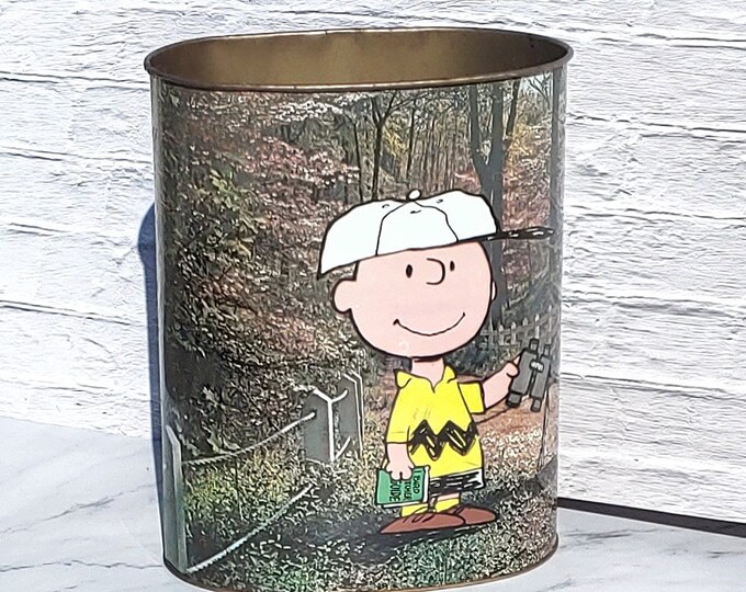 Rare Vintage 1978 Cheinco Charlie Brown, Snoopy and Woodstock Peanuts ...