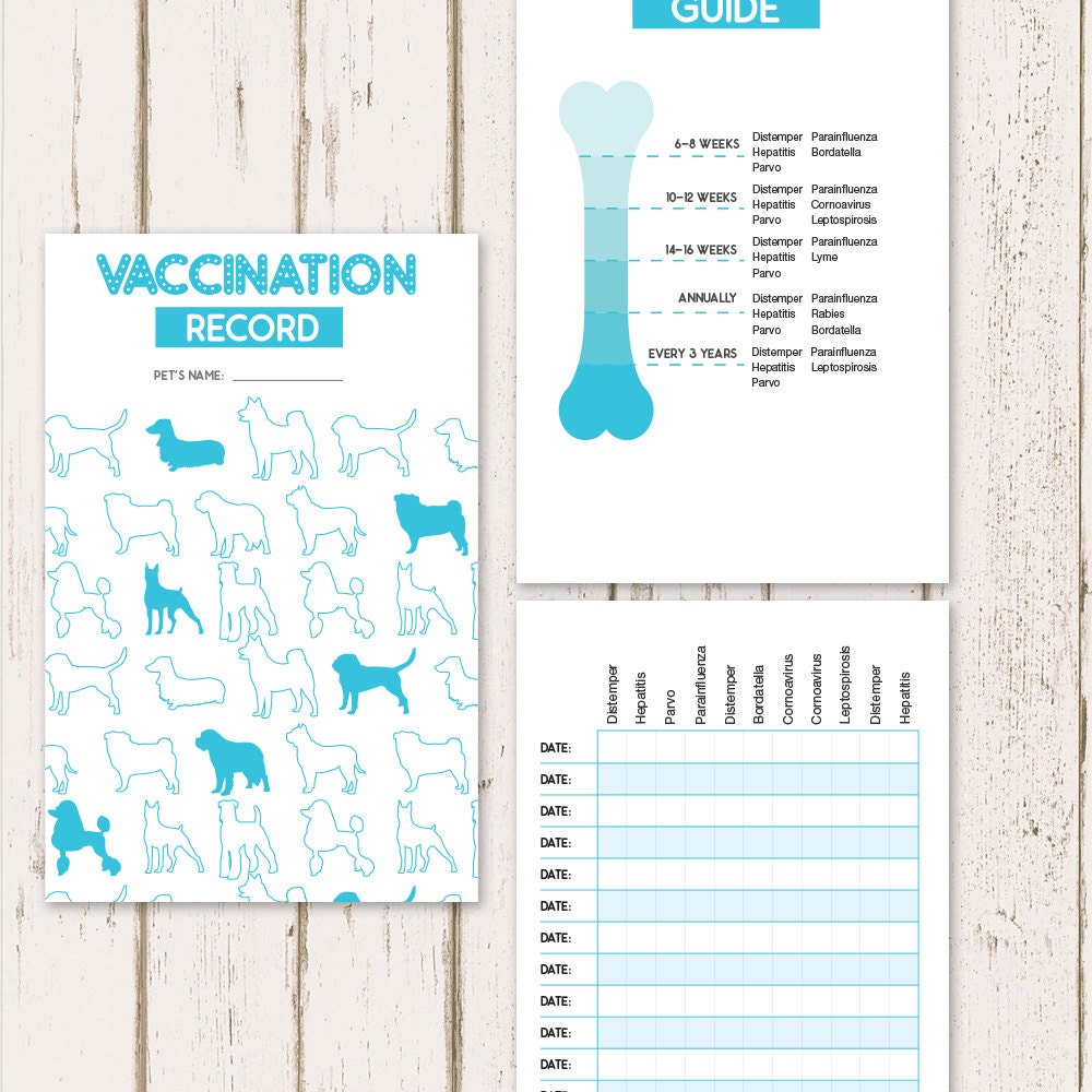 Printable Dog Vaccine Health Record Pet Care (Download Now) - Etsy