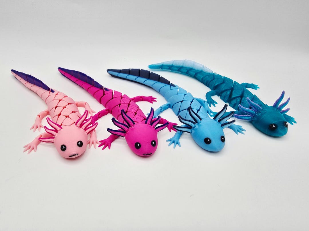 3D Printed Articulated Axolotl – Flexi Fidget Toy - Etsy