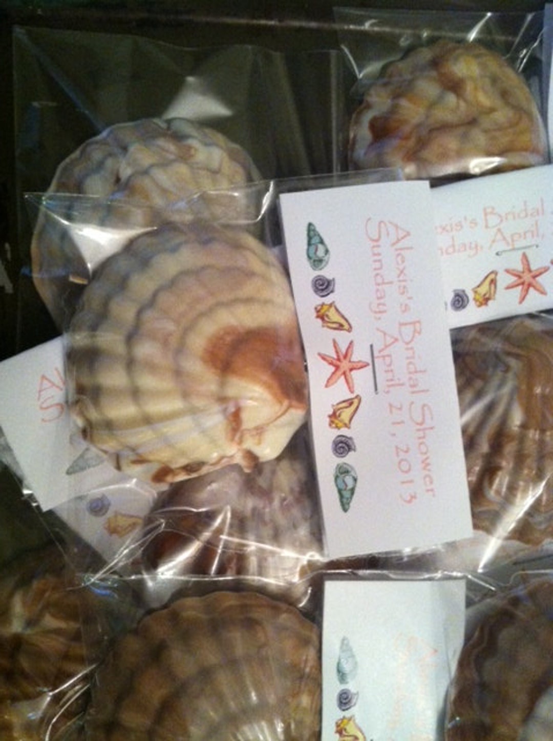 Chocolate Seashells, Beach Beaches, Wedding, Shells, Themed Wedding ...