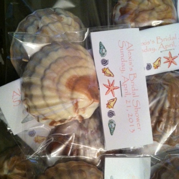 Chocolate Seashells - Etsy