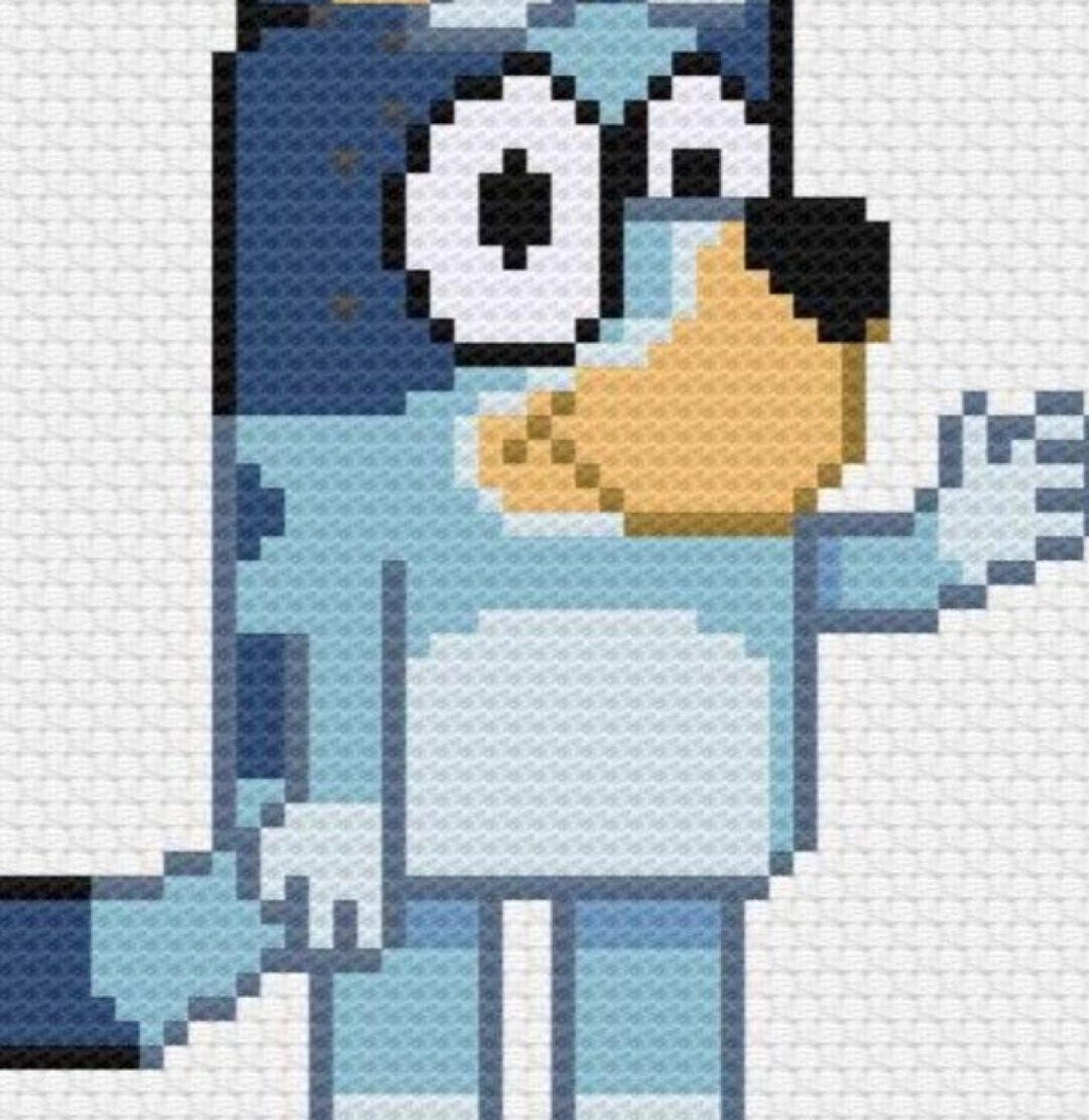 Bluey’s Graph Pattern - Etsy Canada