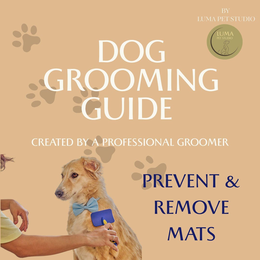 Dog Grooming Guide | Prevent Mats, Groomer Tips (digital Ebook) - Etsy